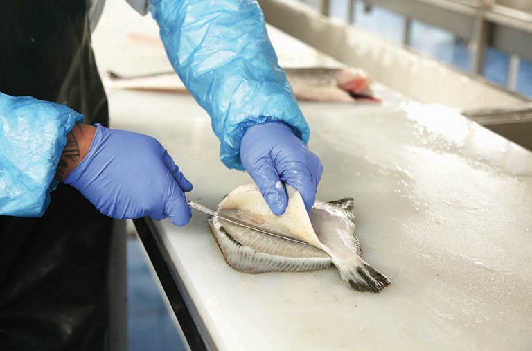 Order Fresh Fish Online | Seafood Delivery - Direct Seafoods