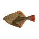 what are Dabs - Flat Fish? : Direct Seafoods