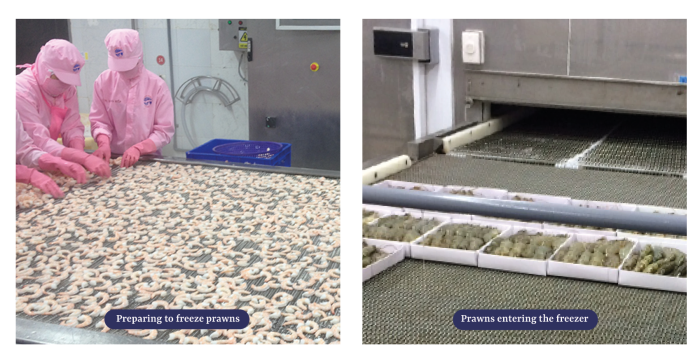 What is glaze on frozen fish? Q&A with Michael Hansen. | Direct Seafoods