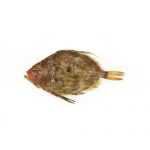 Round Fish Archives | Direct Seafoods