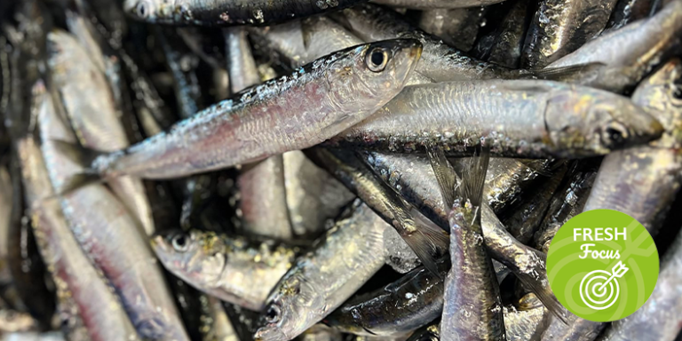 The Importance of Stock Rotation for Fresh Seafood | Direct Seafoods