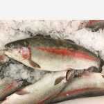 What are ChalkStream® Trout? - Direct Seafoods