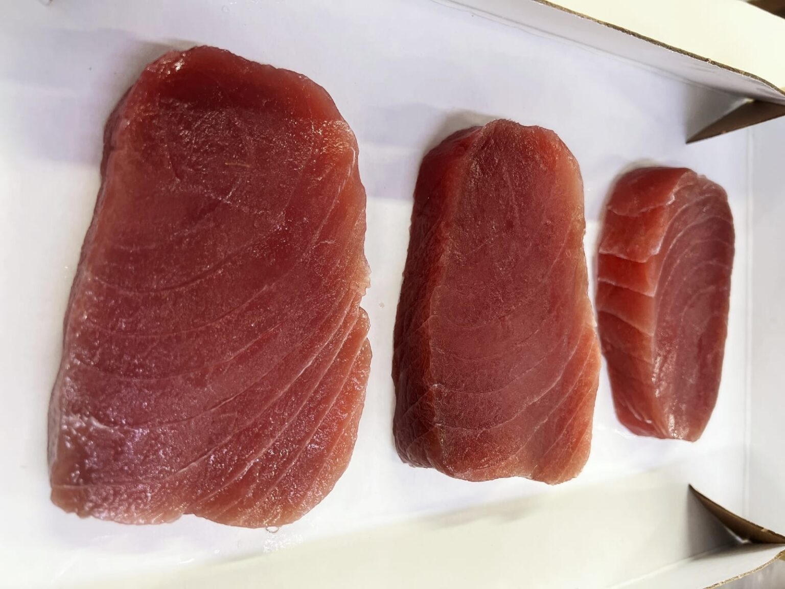 Wholesale Tuna | Direct Seafoods
