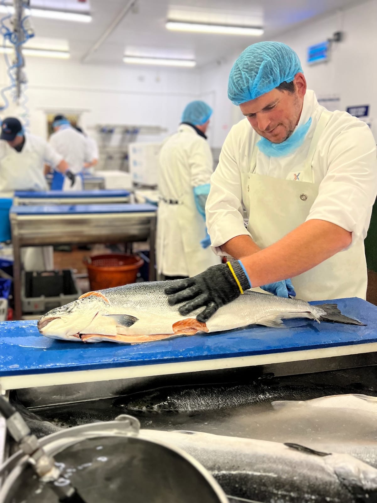 Wholesale Salmon | Direct Seafoods