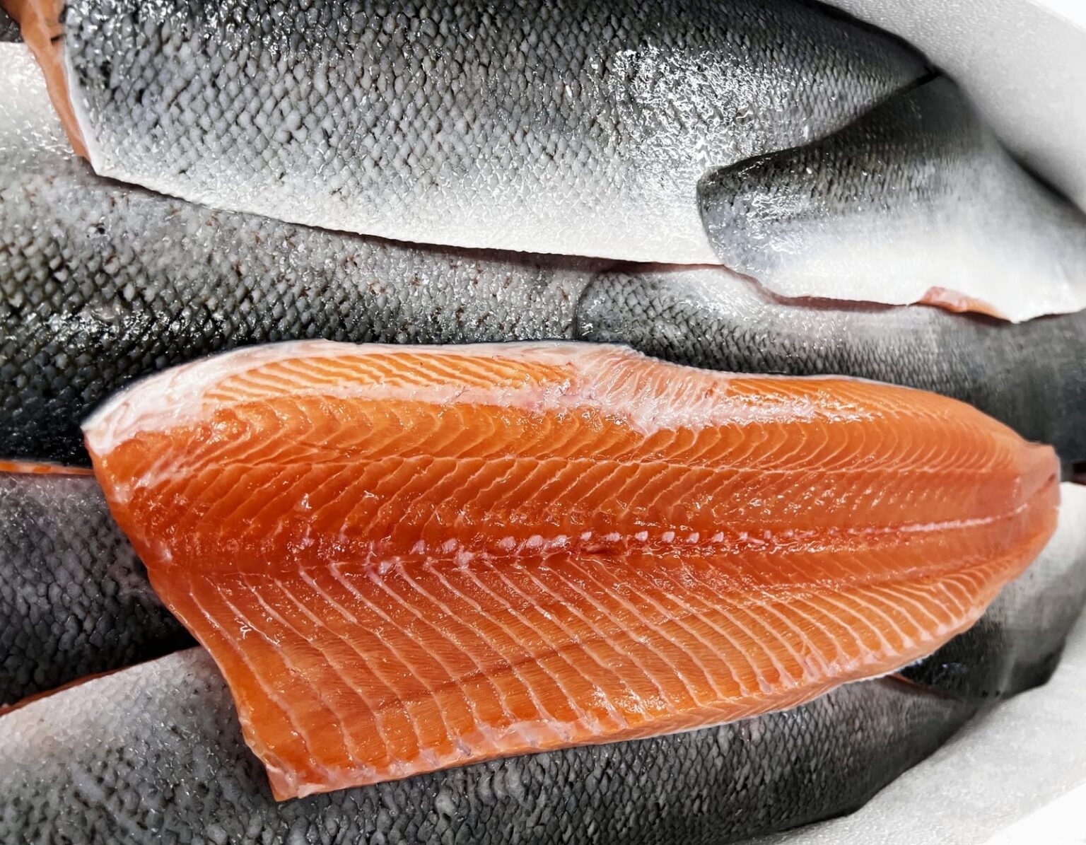 Wholesale Salmon | Direct Seafoods